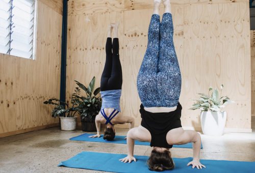 Progressive Flow - Yoga Everyday Brisbane | Yoga Studio Brisbane